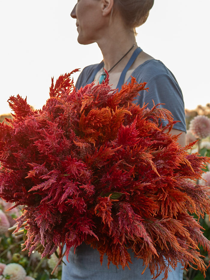 Floret Originals