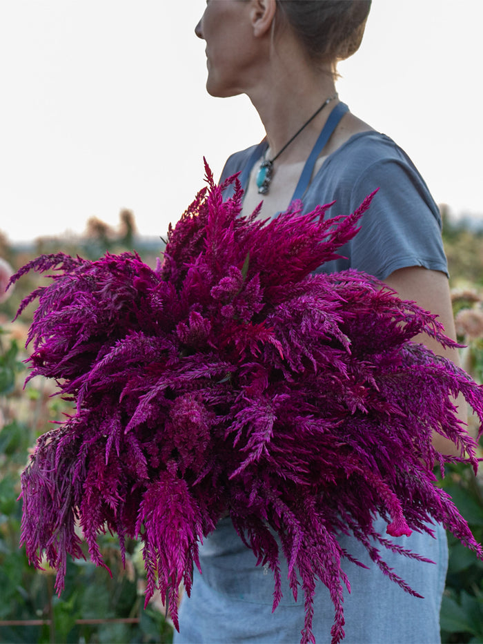 Floret Originals