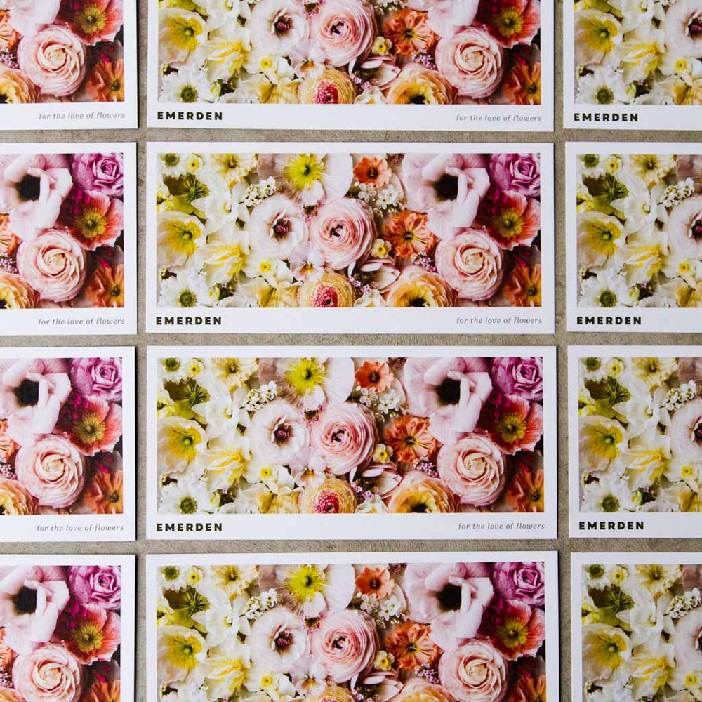 EMERDEN · Flower Farm · Seeds & Bulbs · Taranaki NZ